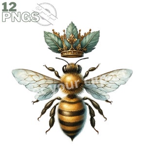 Queen Bee Clipart Bundle, Bee Png Files, Spring Clipart, Honeybee ...
