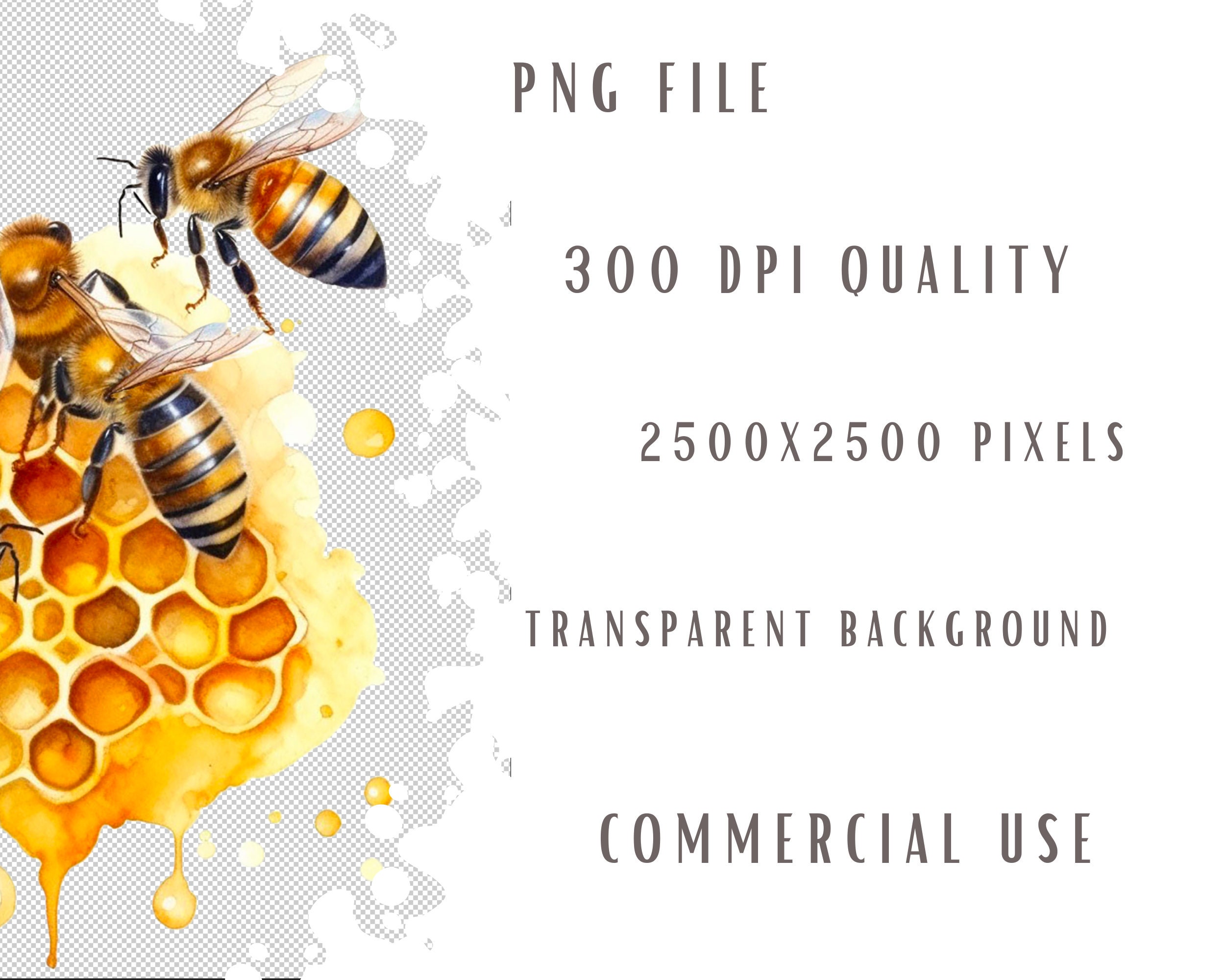 Bee Clipart Watercolor Honey Clipart Bee Png Files - Etsy