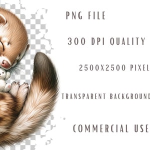 Sleepy Cute Weasel Clipart Bundle, Weasel Clipart Bundle, Set of 10, Transparent Background ...