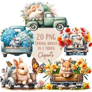 Spring Bunny Clipart Bundle, Spring Clipart, Cute Bunny Graphics ...
