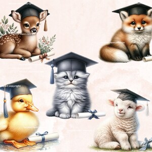 Graduate Baby Animals Clipart Bundle, Preschool Graduation, Graduation ...