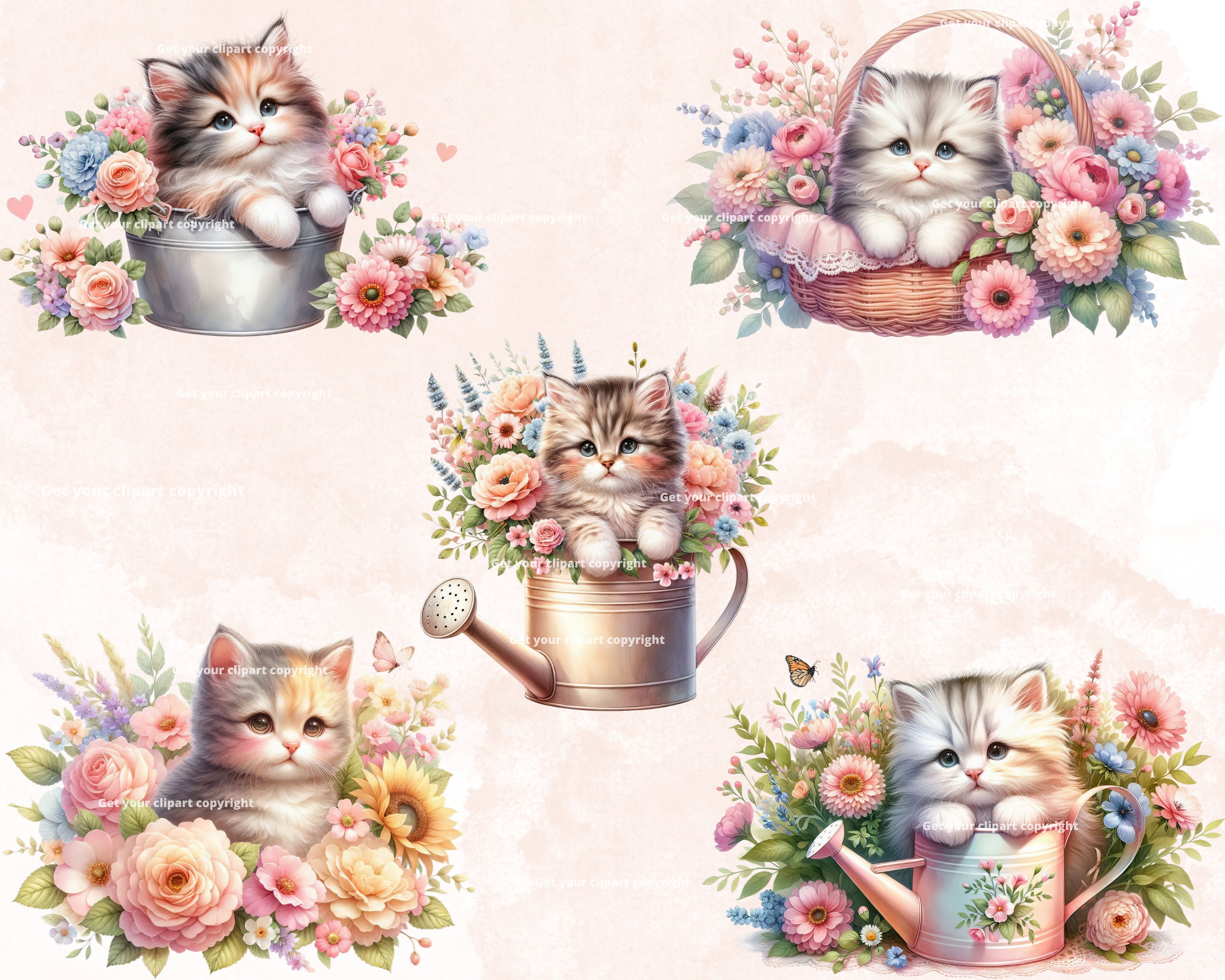 Baby Cat and Flowers Clipart Bundle, Kitten Clipart, Cute Cat Graphics ...