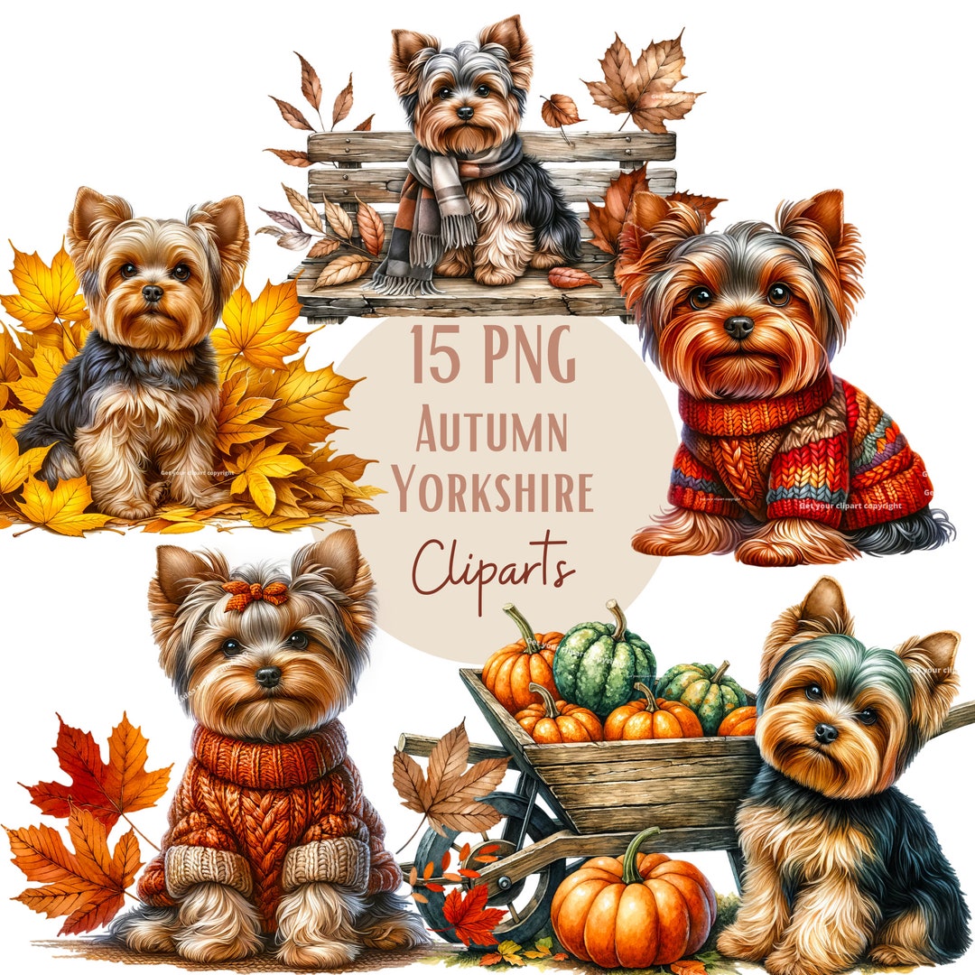 Autumn Yorkshire Png Graphics, Watercolor Dog Clipart, Set of 15 ...