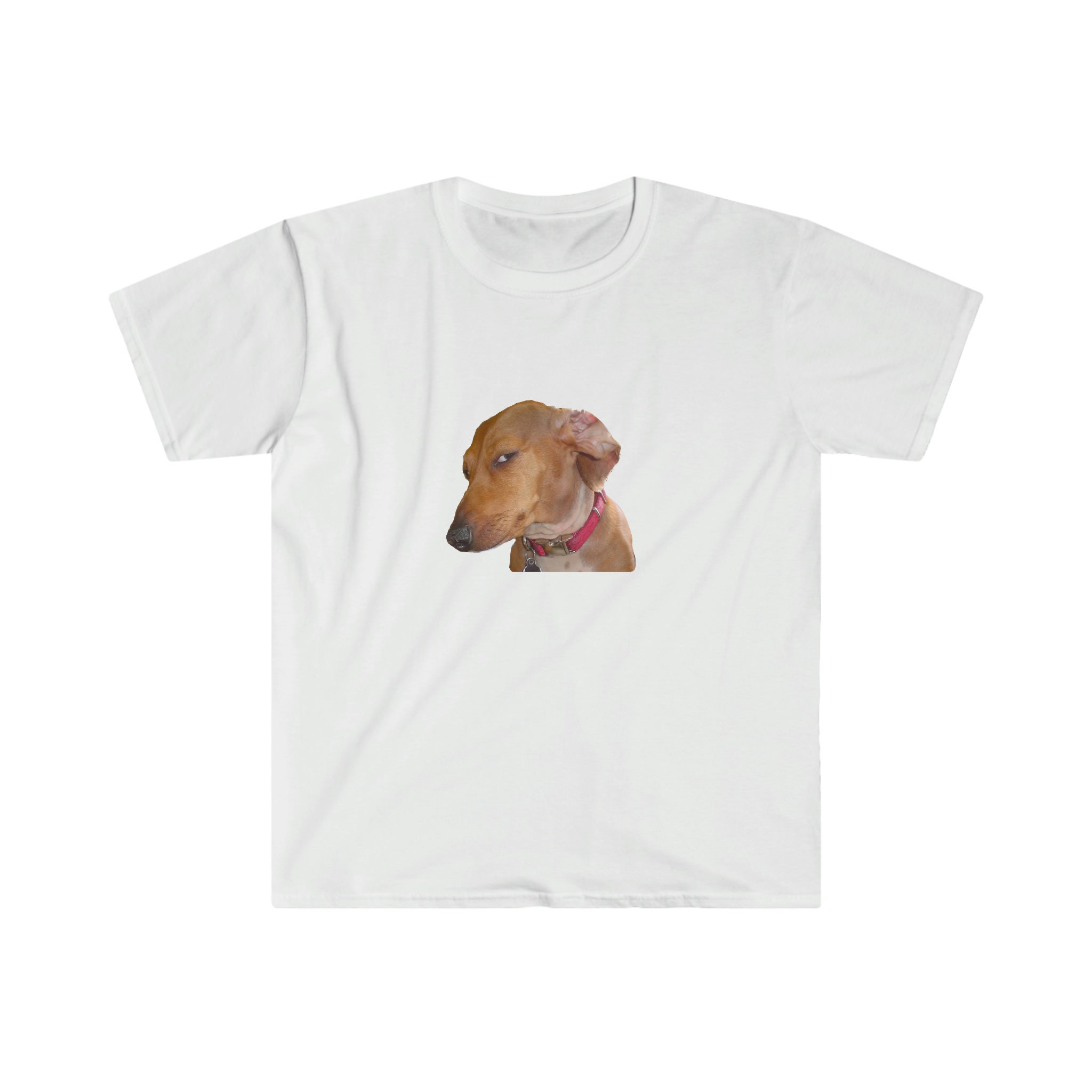 Get Your Side Eye on With Our Dachshund Tee! - Side Eye Dog Meme ...