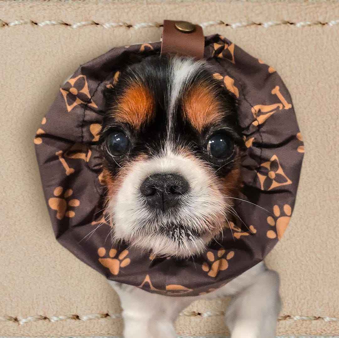 Louis Paw-tton / Adjustable Spaniel Snood / Long Eared Dogs / Cavalier ...