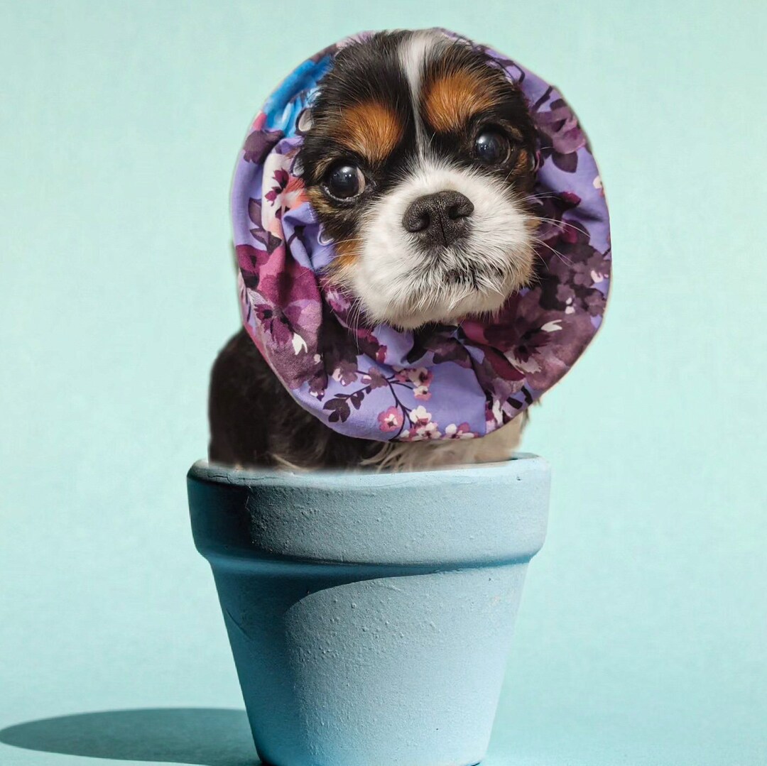Lilac Pansies | Adjustable Snood | Long Eared Dog | Cavalier King ...