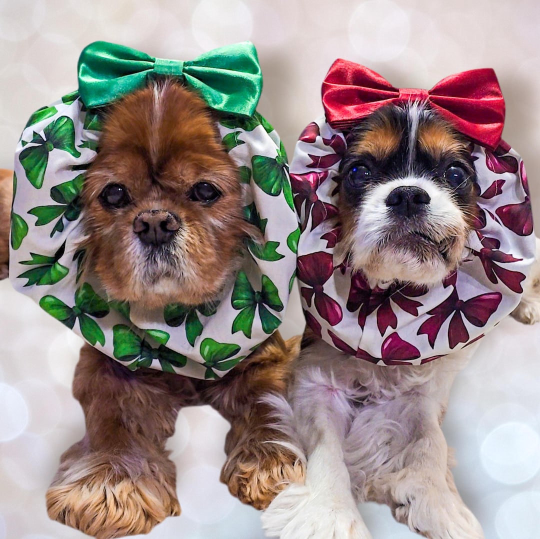 Pawlished Bows / Adjustable Spaniel Snood / Long Eared Dogs / Cavalier ...