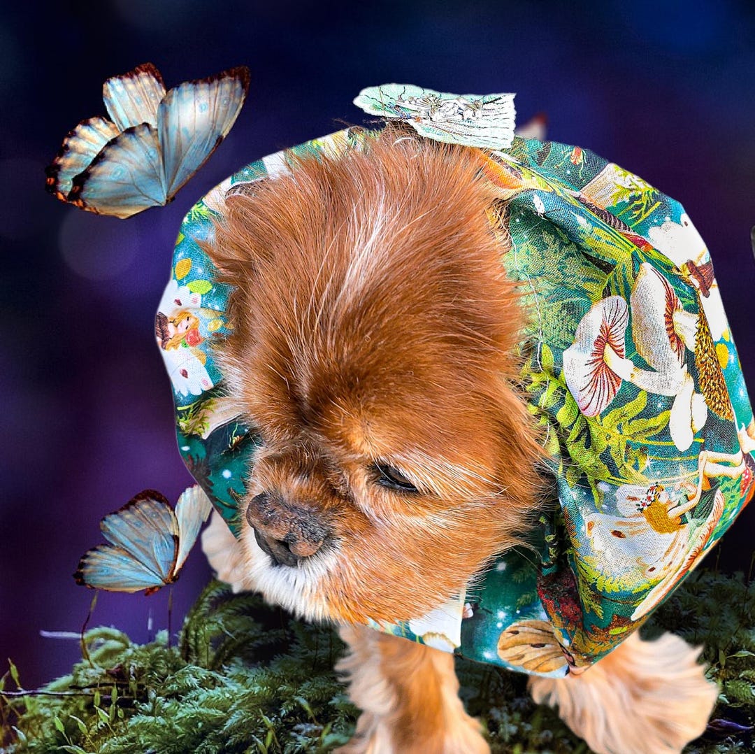 Forest Fairies / Adjustable Spaniel Snood / Long Eared Dogs / Cavalier ...