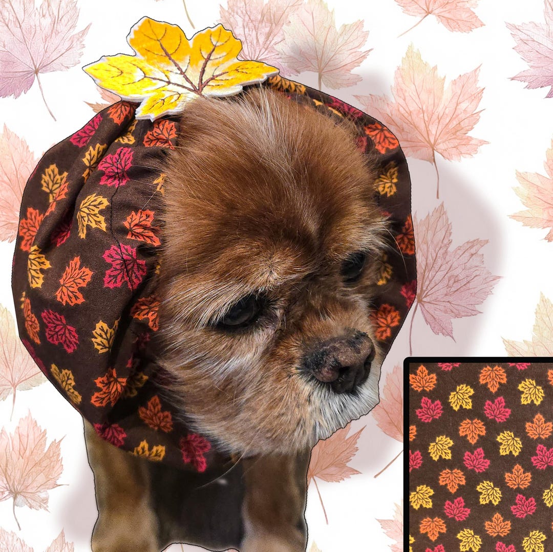 Fall Maple / Adjustable Spaniel Snood / Long Eared Dogs / Cavalier King ...