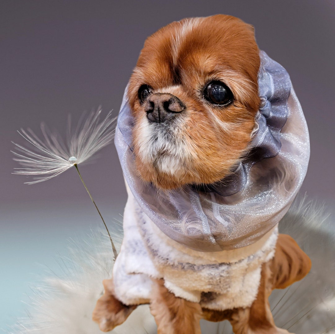 Sheer Smokey Organza / Adjustable Spaniel Snood / Long Eared Dogs ...