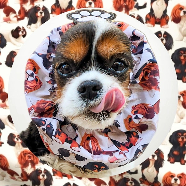 Cavalier Dog Snood - Etsy