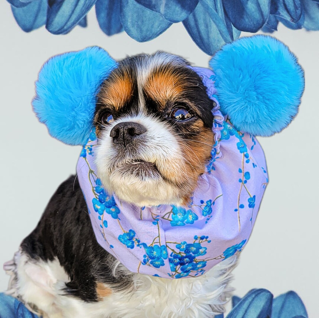 Blue Cherry Blossoms / Removable Pom Poms / Adjustable Spaniel Snood ...