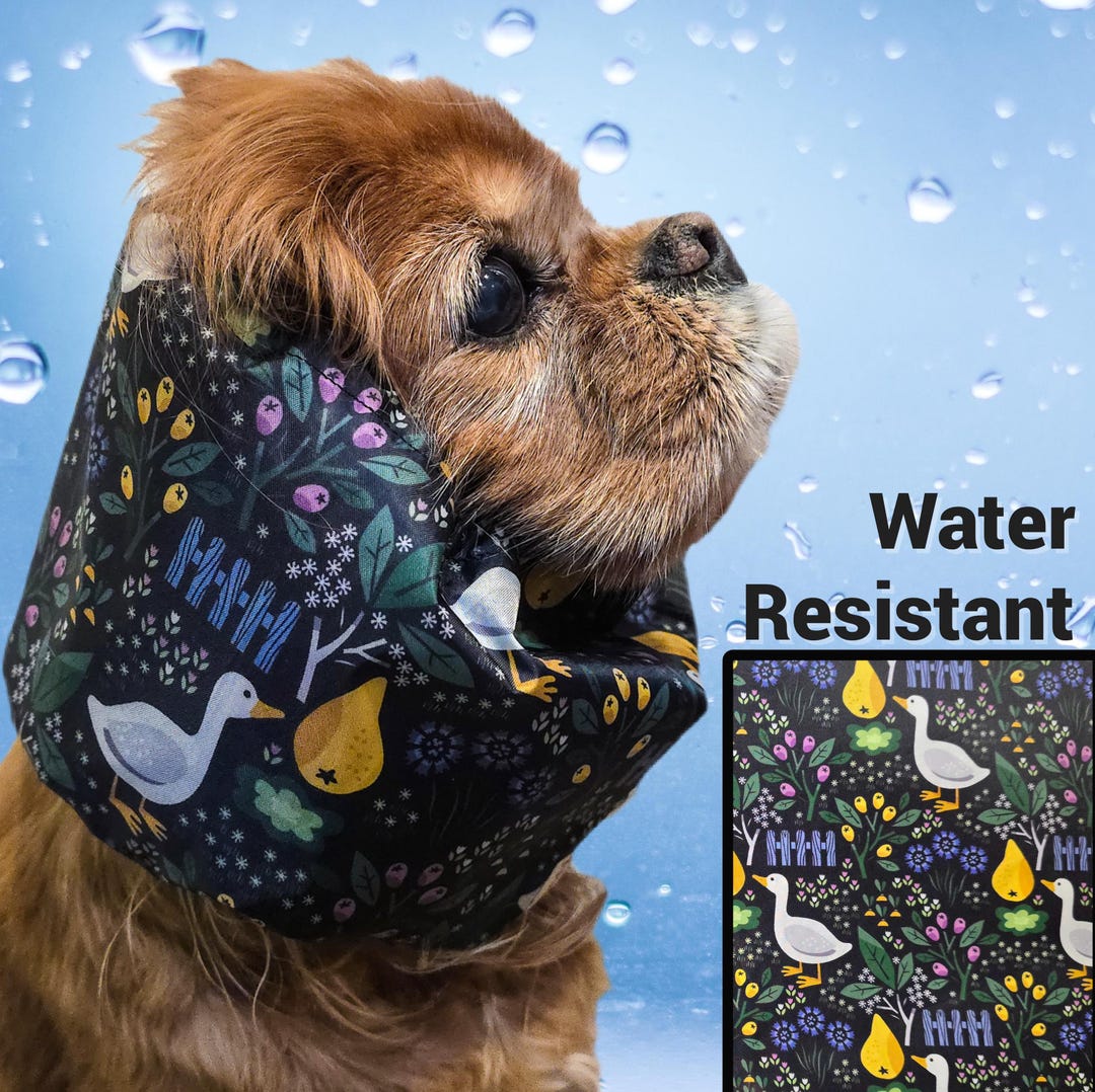 Silly Goose / WATER RESISTANT /adjustable Spaniel Snood / Long Eared ...