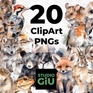 Woodland Animals Clip Art Watercolor Illustrations, Instant Download ...