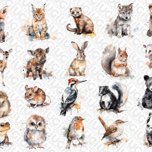 Woodland Animals Clip Art Watercolor Illustrations Instant - Etsy