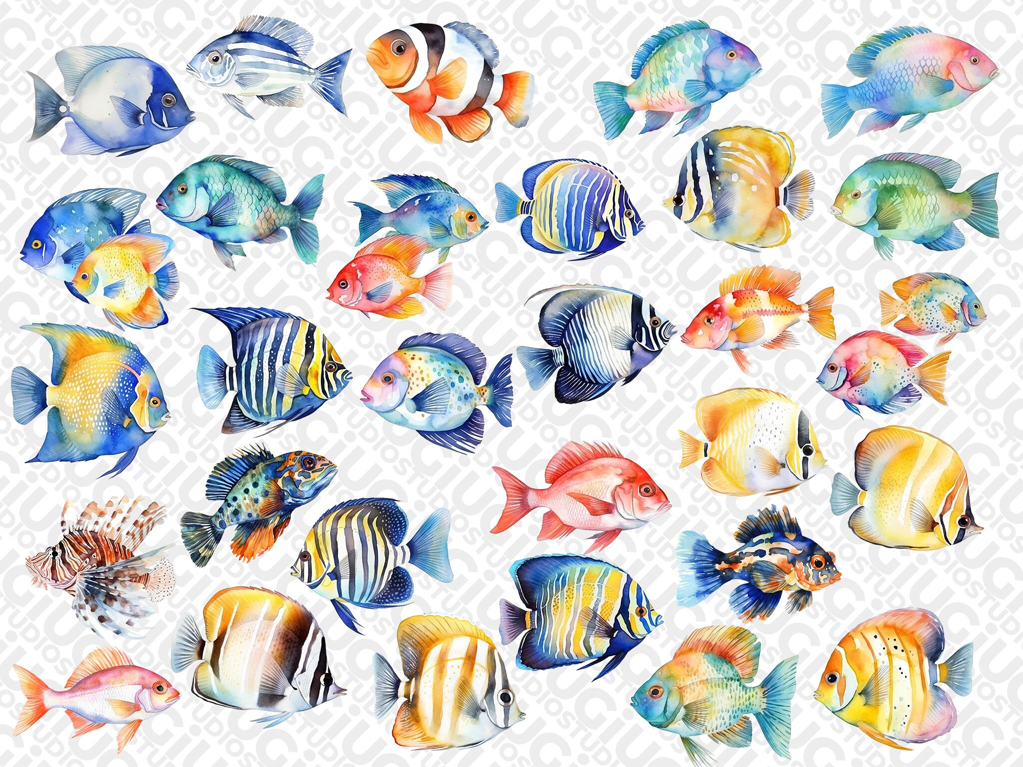 Tropical Fish Clip Art Watercolor Illustrations Pngs Instant - Etsy