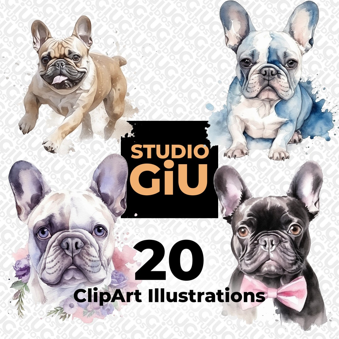 Adorable French Bulldog Clip Art Watercolor Illustrations, Instant ...
