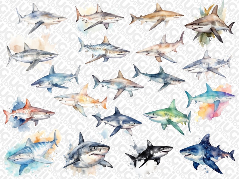 Sharks Clip Art, Tigershark, Great White, Watercolor Illustrations ...
