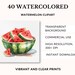 Watermelon Clipart Watermelon Digital Print Fruit Clipart Digital Art ...