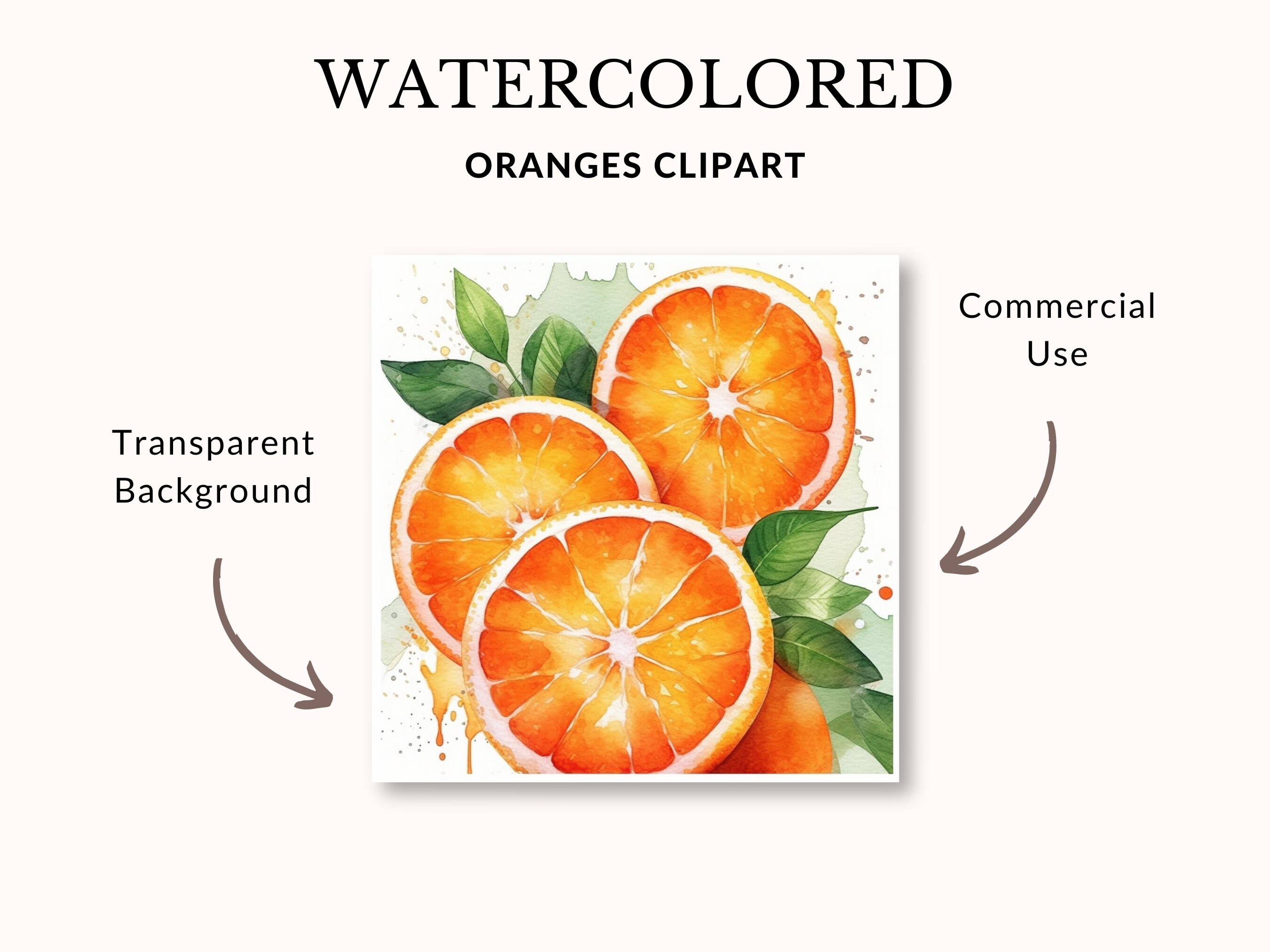 Watercolor Oranges Clipart Citrus Watercolor Clipart Orange Fruit ...