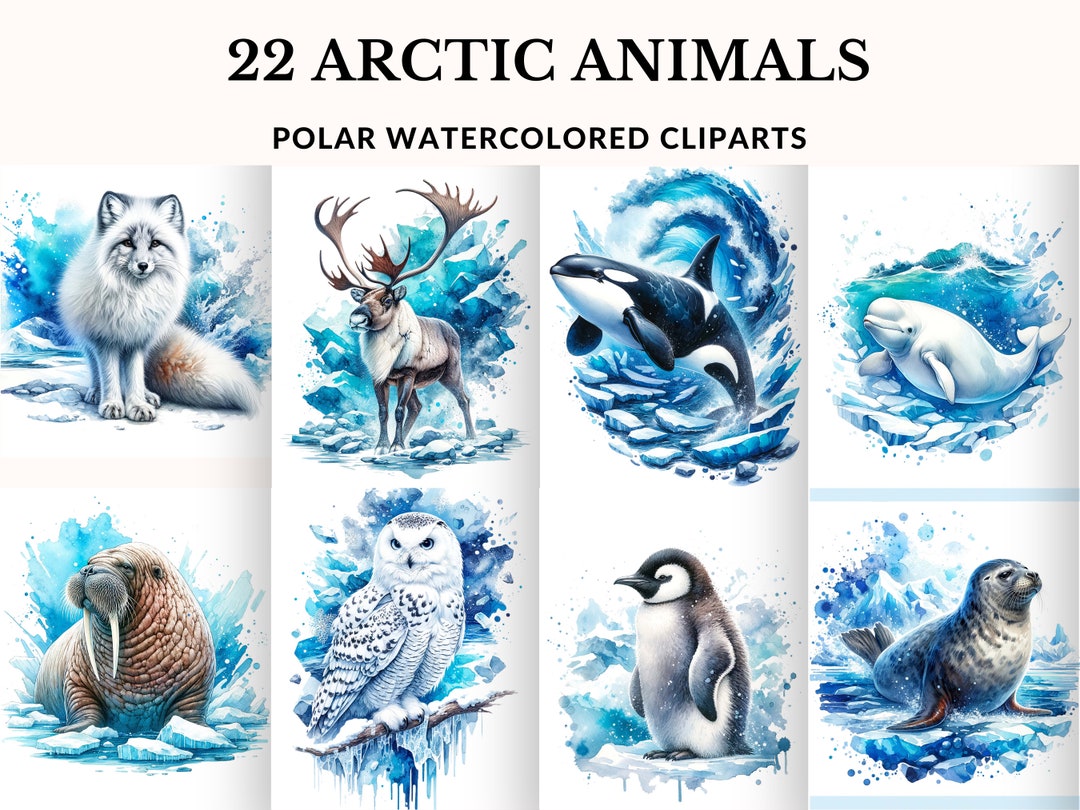 Arctic Life Clipart, Polar Animals Clipart, Watercolor Arctic Wildlife ...