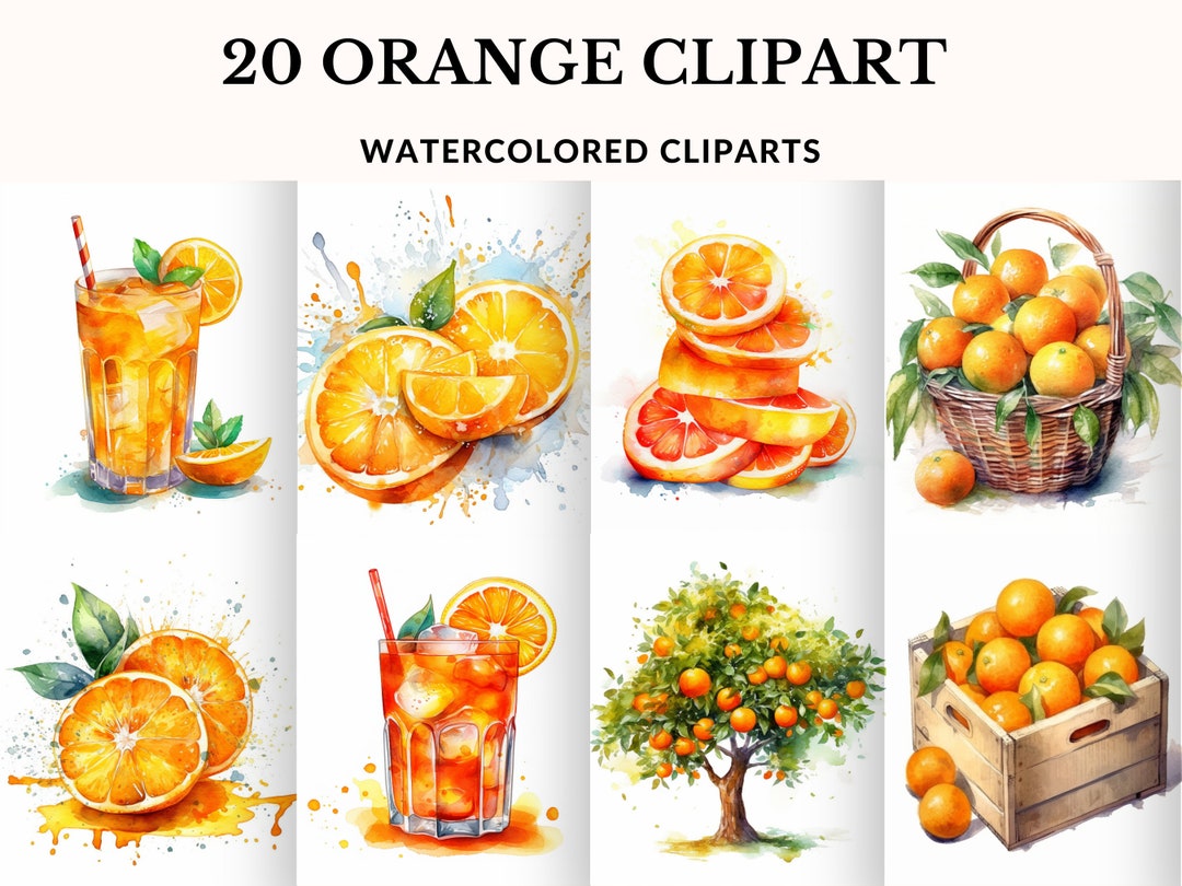 Watercolor Oranges Clipart Citrus Watercolor Clipart Orange Fruit ...