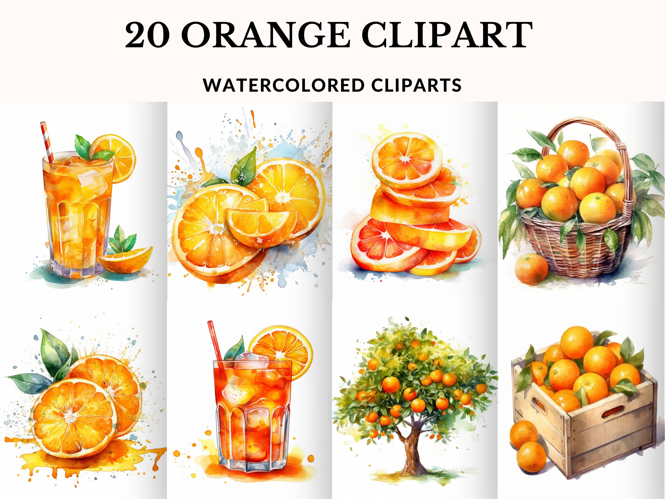 Buy Watercolor Oranges Clipart Citrus Watercolor Clipart Orange Fruit ...