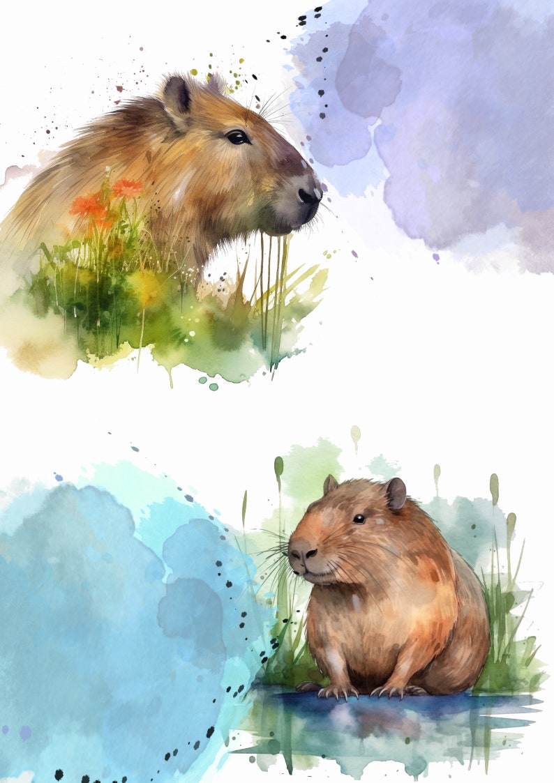 10 Watercolored Capybara Clipart NO Background Digital PNG - Etsy