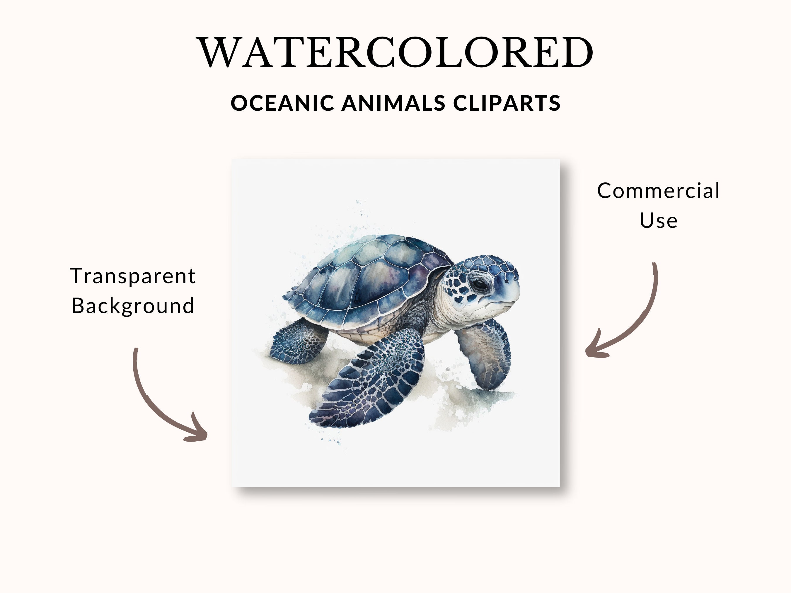 Oceanic Life Clipart, Sea Animals Clipart, Watercolor Ocean Wildlife ...