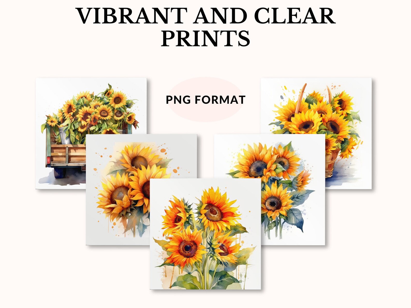 Watercolor Sunflowers Clipart, Sunflower Pictures for Crafting and DYI ...