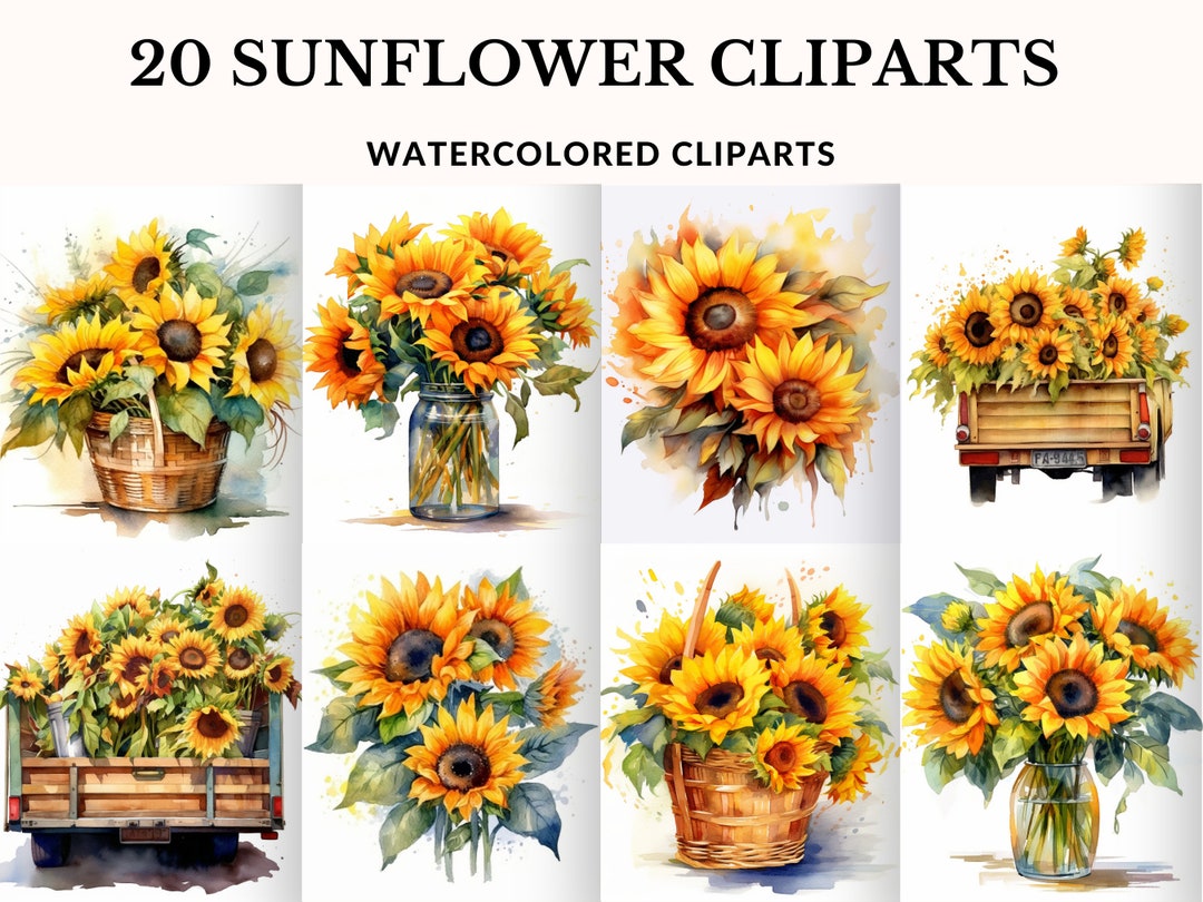 Watercolor Sunflowers Clipart, Sunflower Pictures for Crafting and DYI ...
