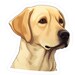 Yellow Lab Sticker Dog Clipart Animal Clipart Cute Animal Stickers ...