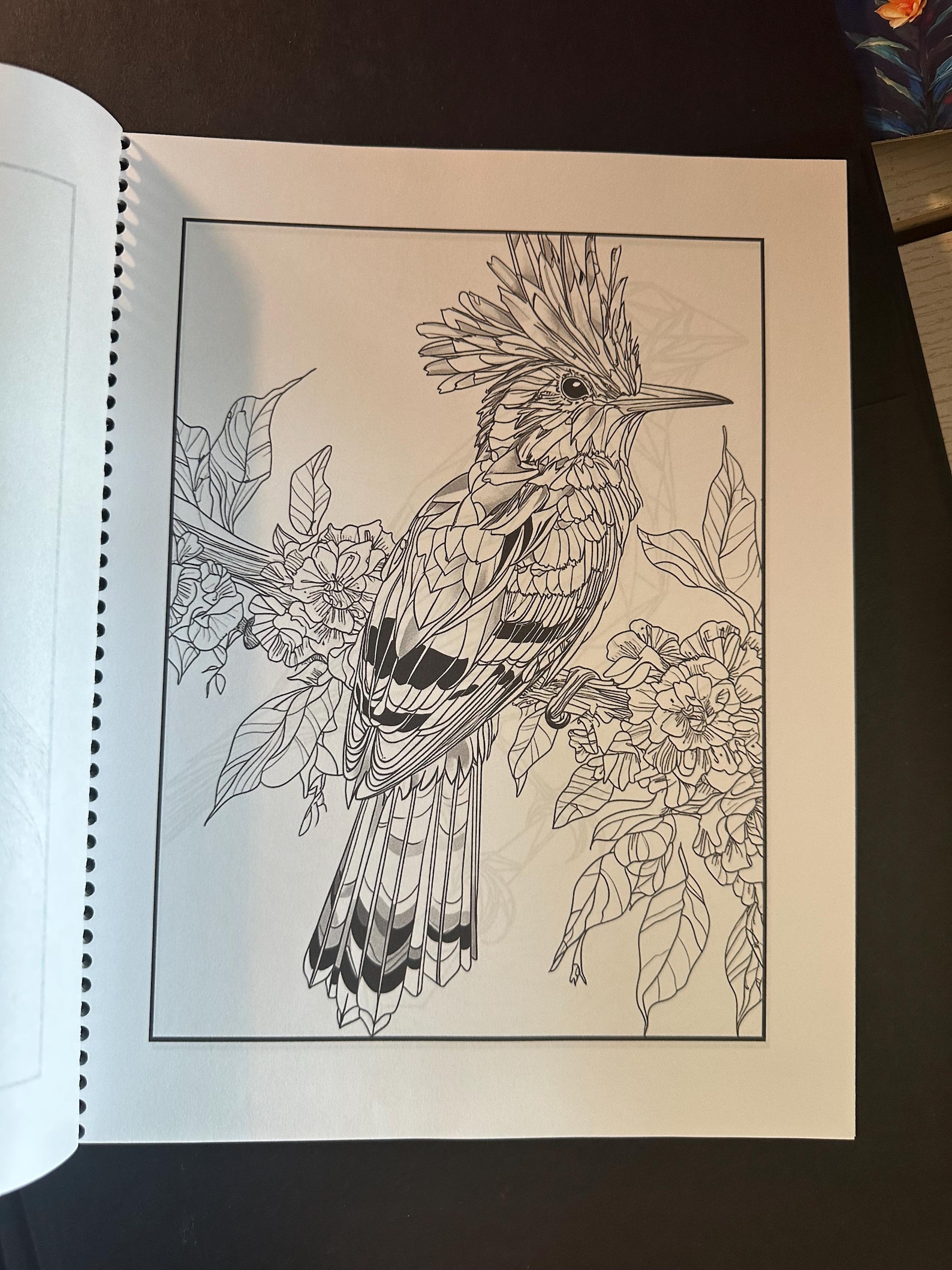 Beautiful Birds Coloring Book - 8.5x11in, Spiral Bound, Nature-inspired ...