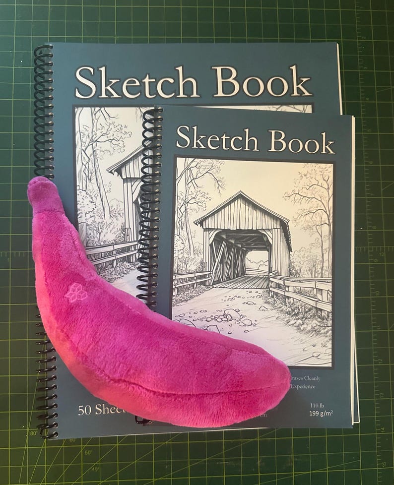 Sketchbook - 5.5x8.5in, 50 Sheets, Spiral Bound, Premium Drawing Pad, Artist Supplies, Creative ...