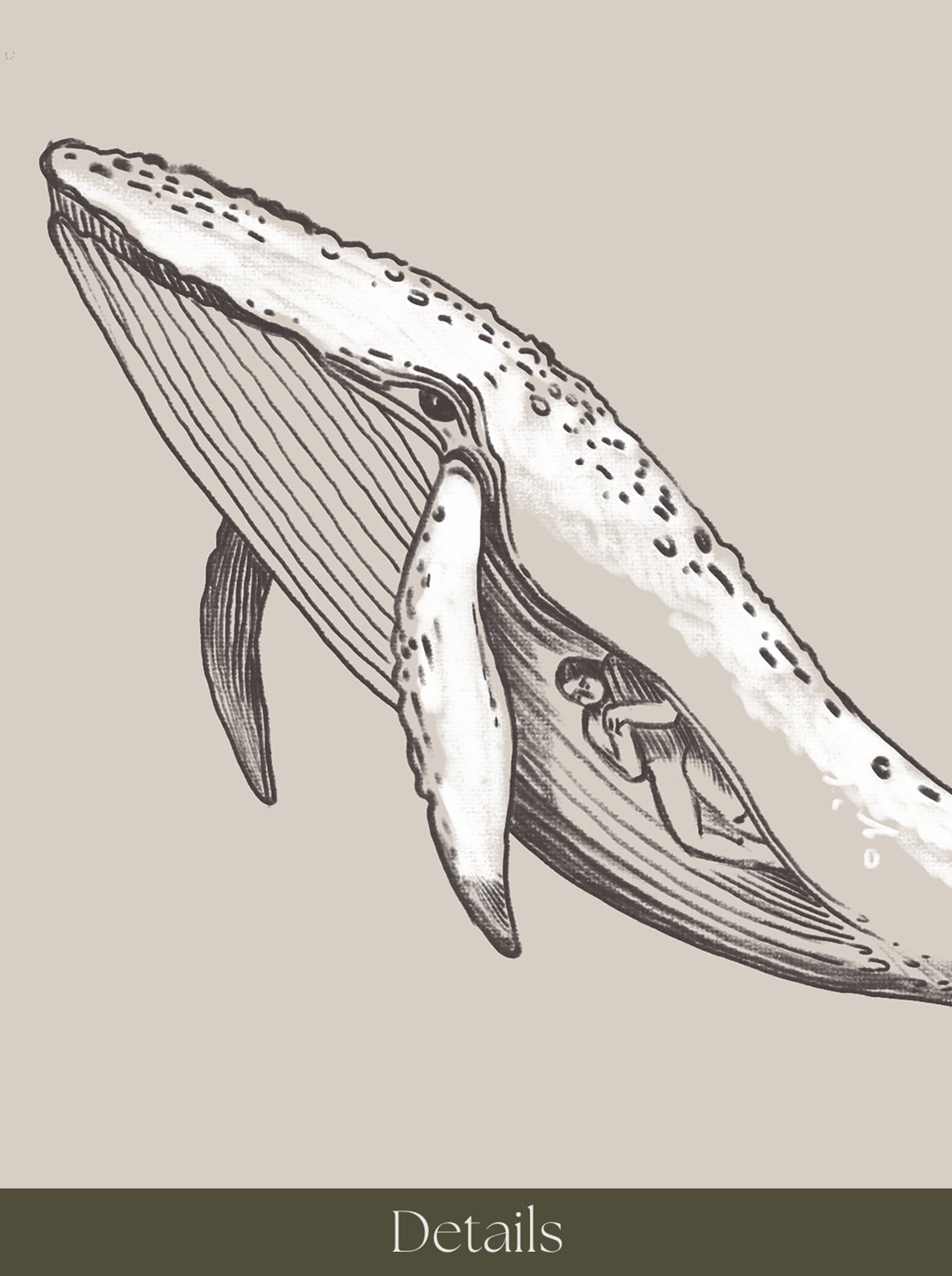 Hand-drawn Line Art: Story of Jonah and the Whale - Biblical Tale From ...