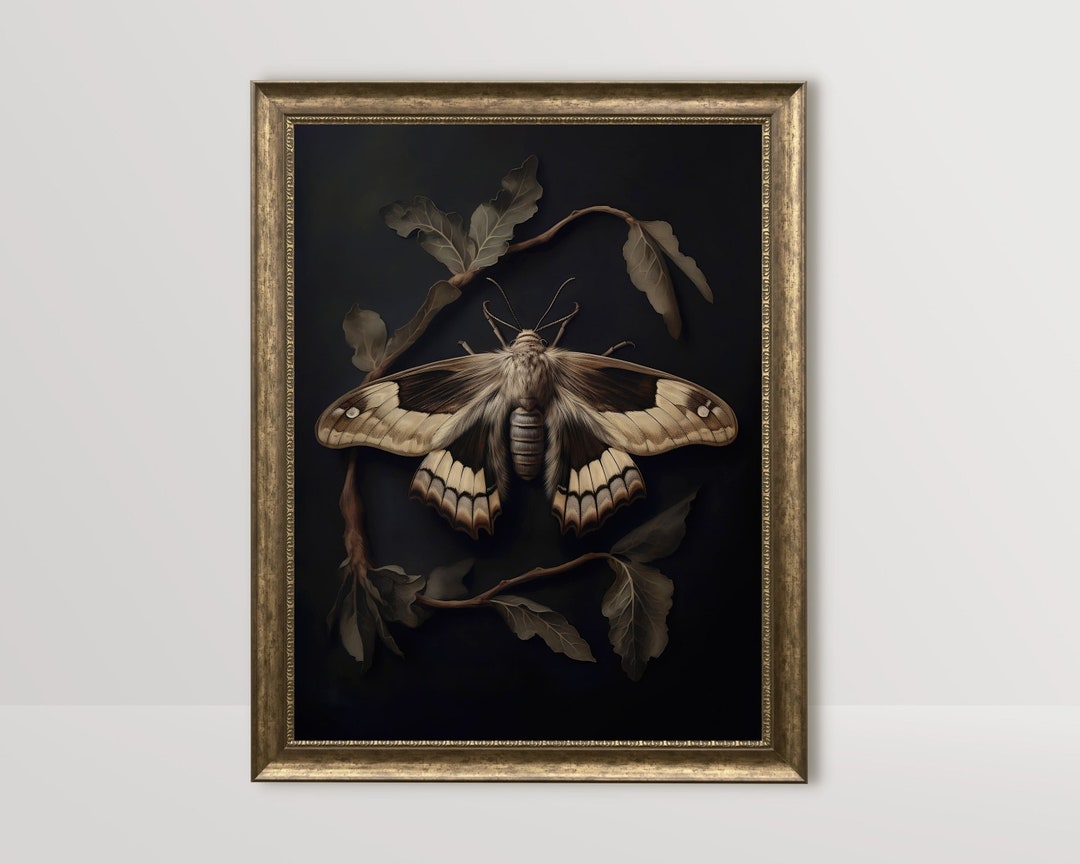 Moth | Botanical Moody Wall Art, Dark Academia Print, Insect Printable ...