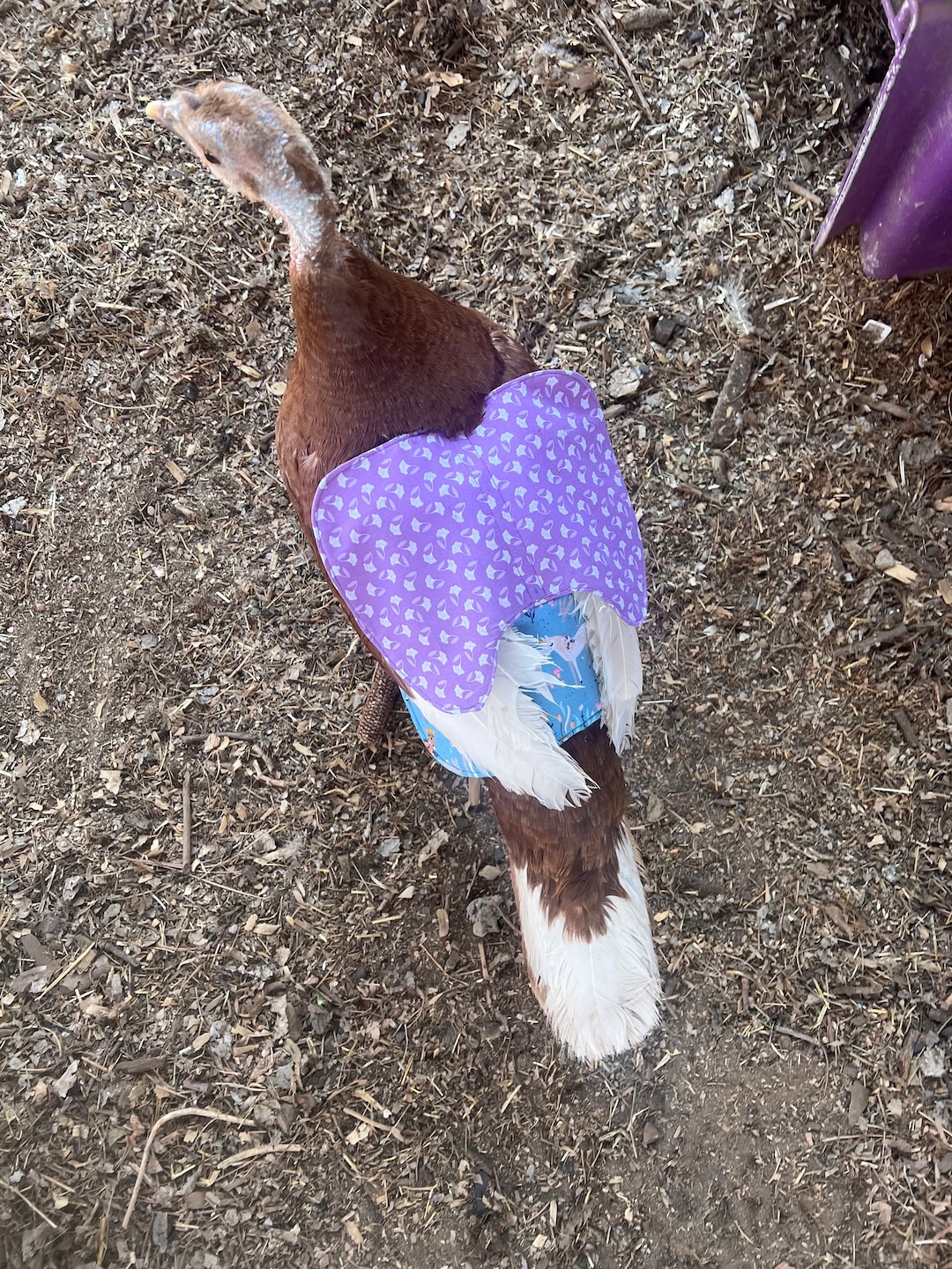 Turkey Saddle With Wing Protectors - Etsy