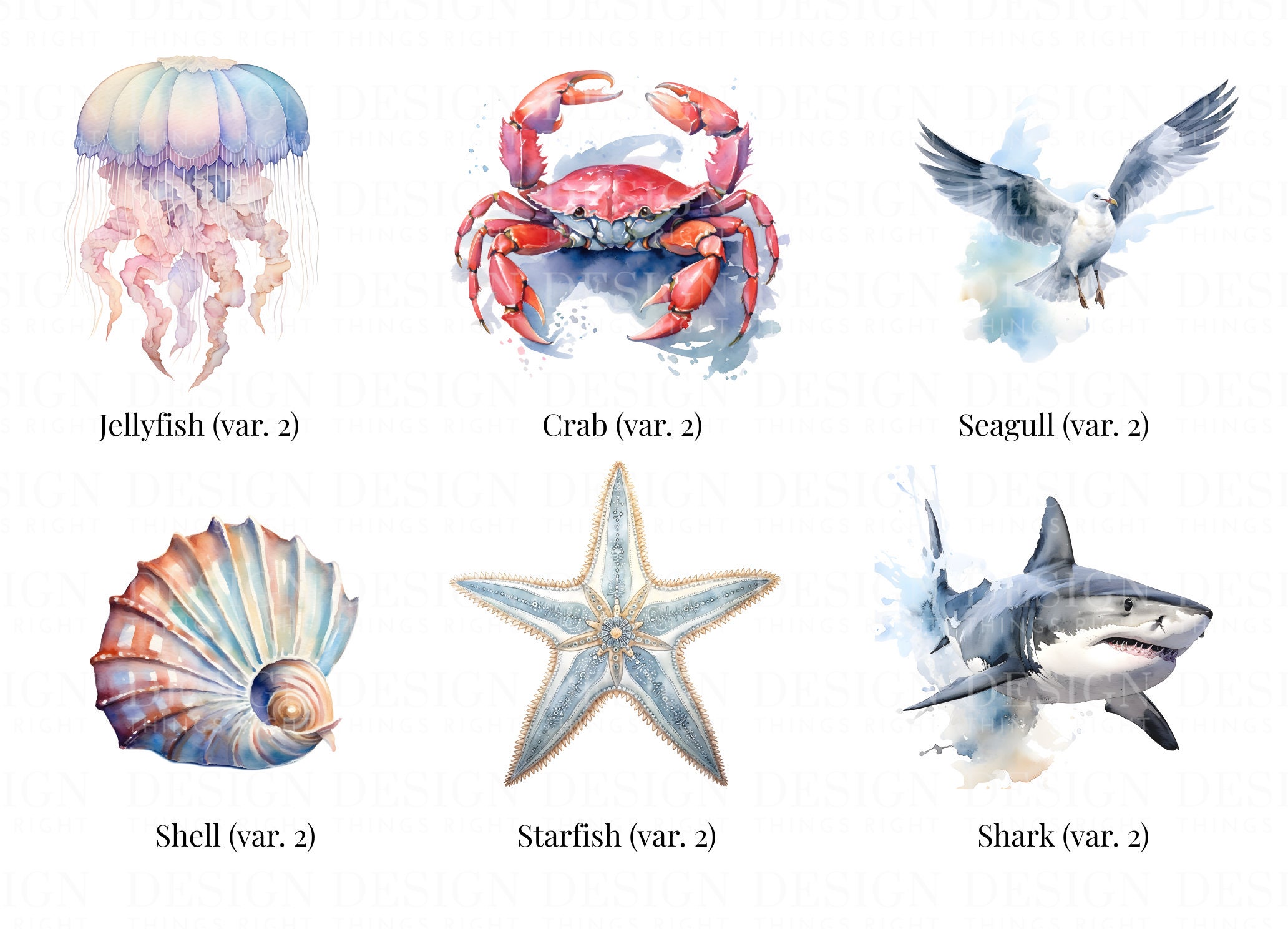 Sea Life Watercolor Clipart Set Sea Creature Illustrations - Etsy