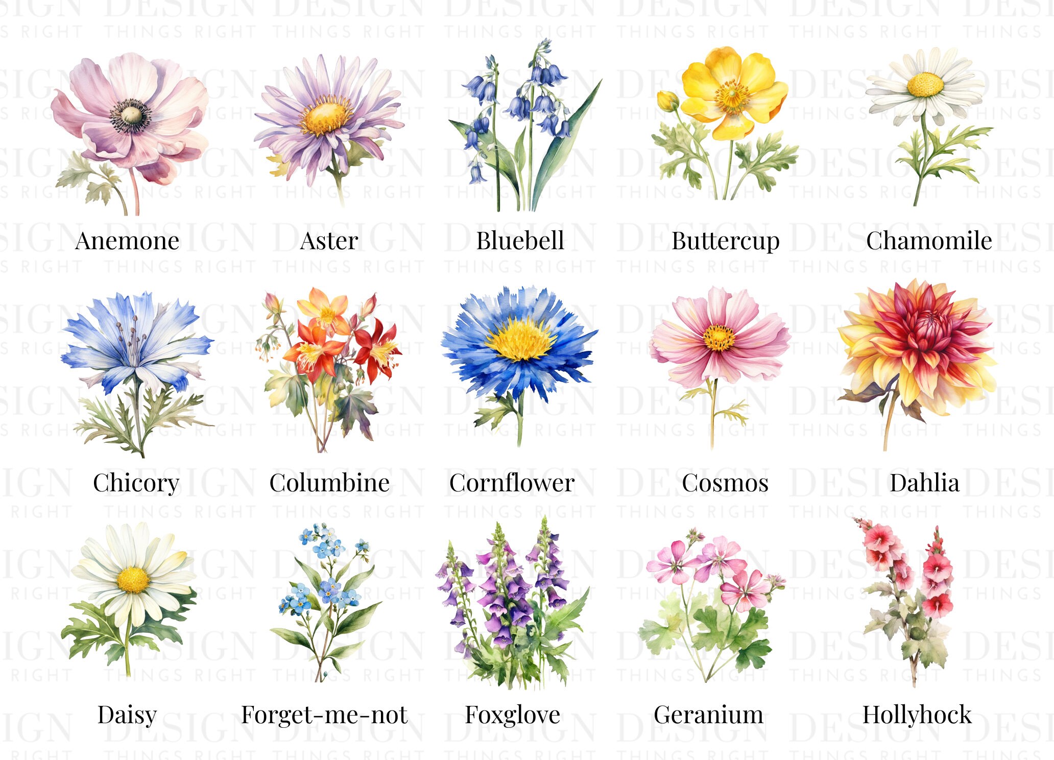 Wildflower Watercolor Clipart Set - Floral Illustrations - PNG & SVG ...