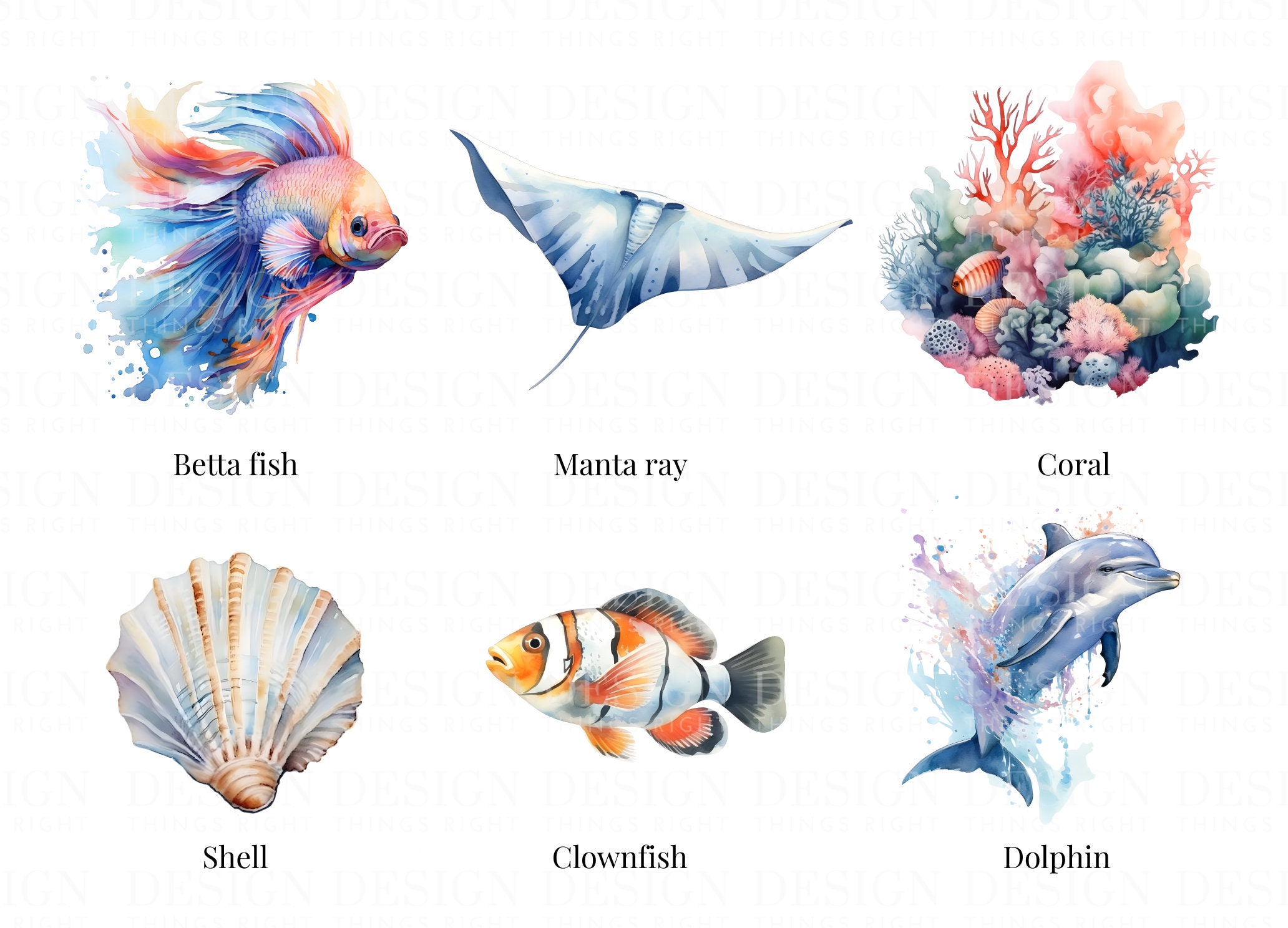 Sea Life Watercolor Clipart Set Sea Creature Illustrations - Etsy