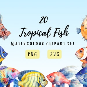Tropical Fish Watercolour Clipart Set - Vibrant Aquatic Illustrations ...