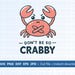 Don't Be so Crabby SVG, PNG - Cute Animal Pun Illustration ~ Digital ...