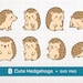 Cute Hedgehog Clipart Bundle SVG PNG | 8 Hand-drawn Style Hedgehog ...