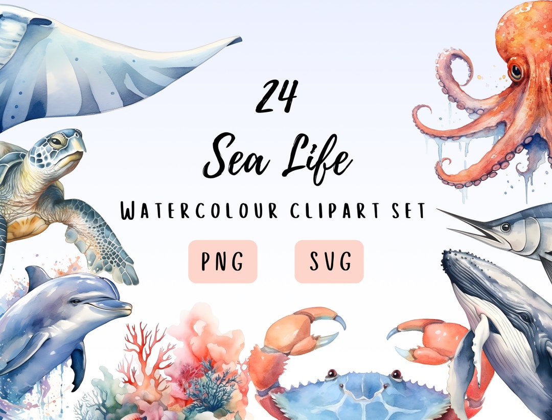 Sea Life Watercolor Clipart Set - Sea Creature Illustrations - PNG ...