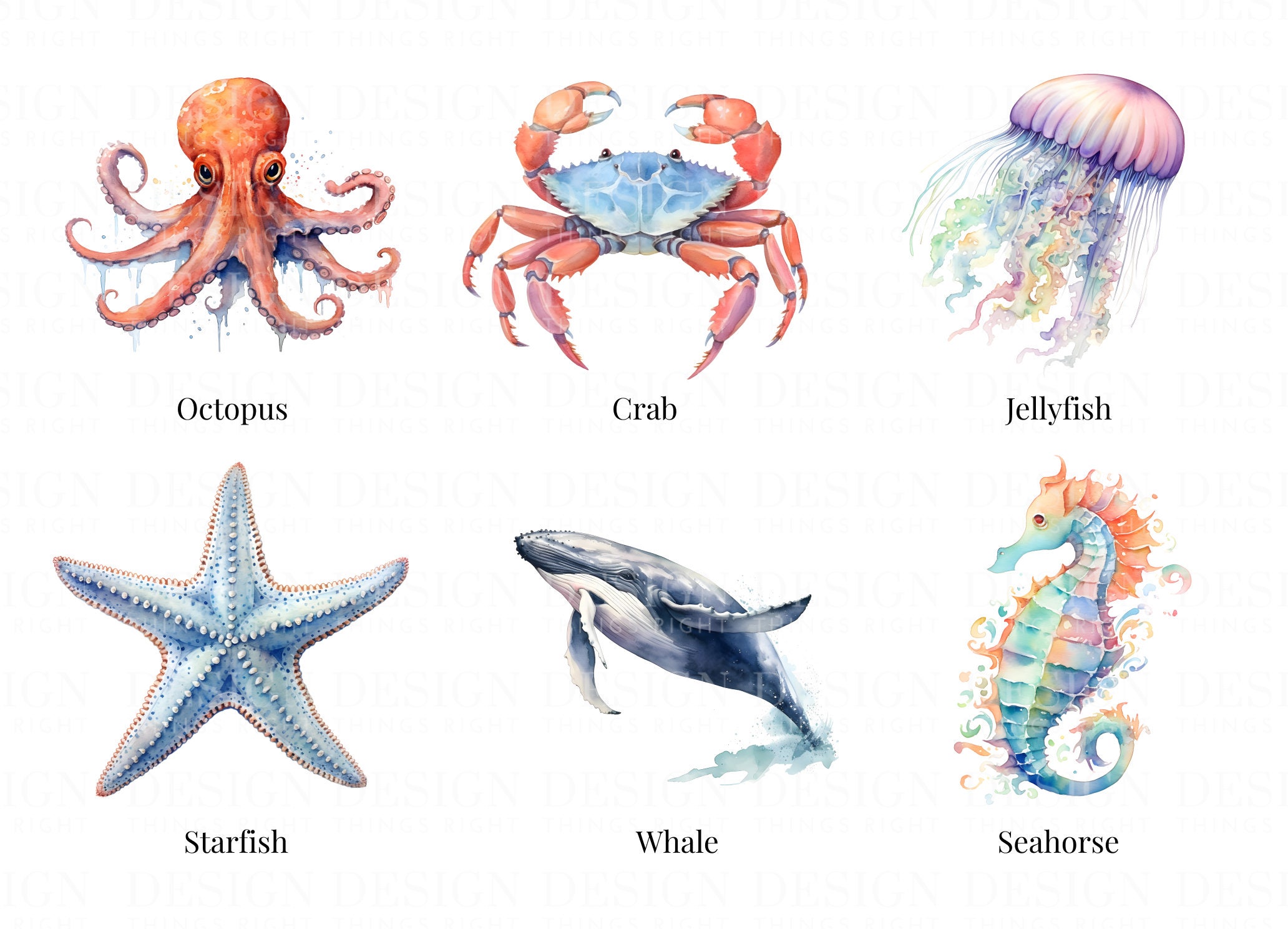 Sea Life Watercolor Clipart Set Sea Creature Illustrations - Etsy