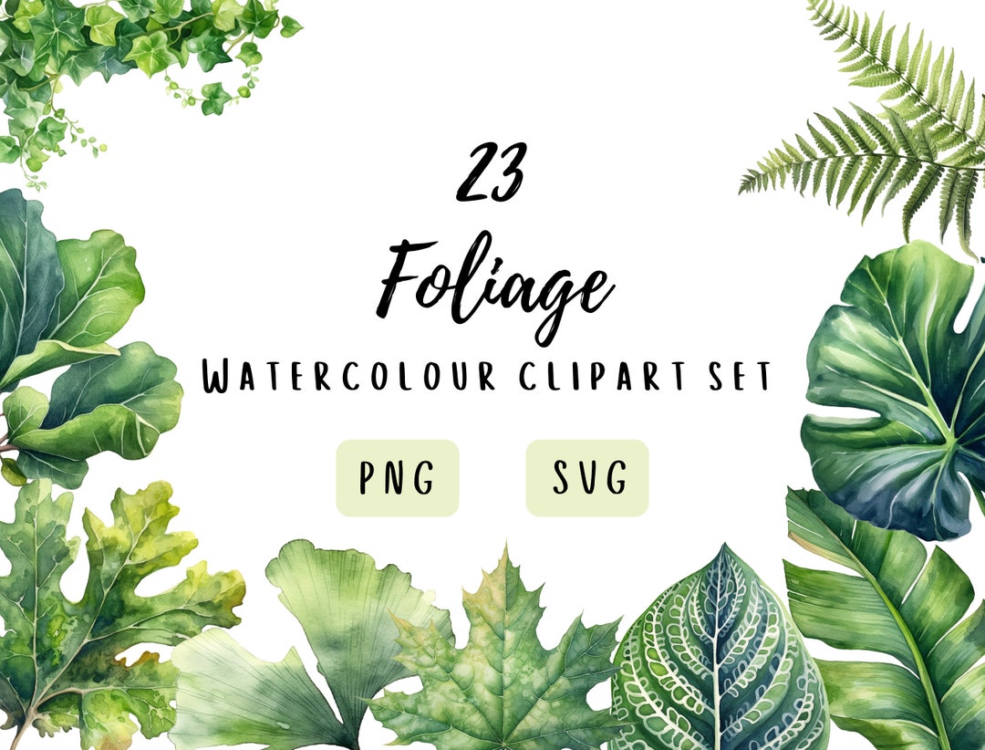 Foliage Watercolor Clipart Set - Plant and Leaf Illustrations - PNG ...