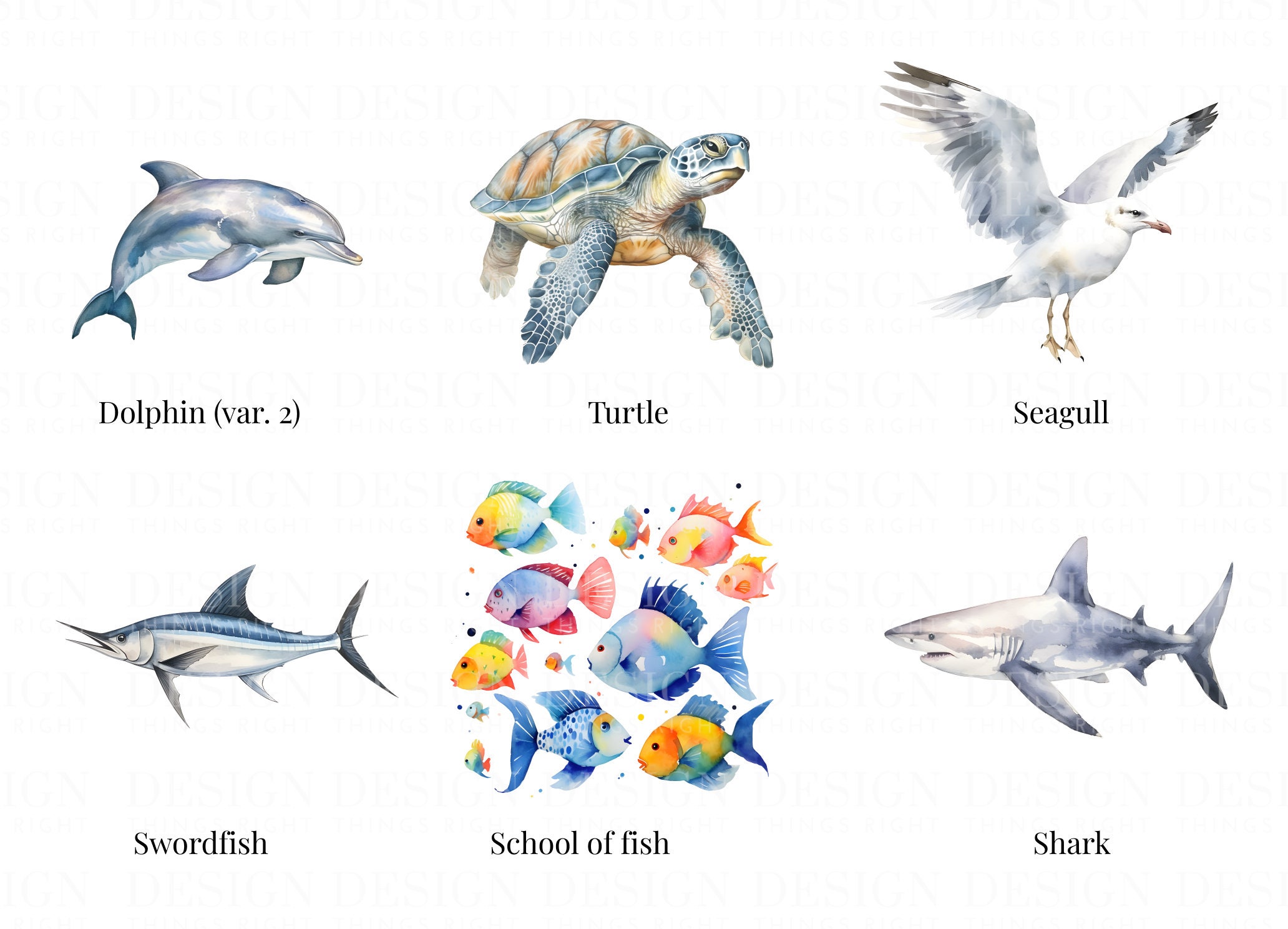 Sea Life Watercolor Clipart Set Sea Creature Illustrations - Etsy