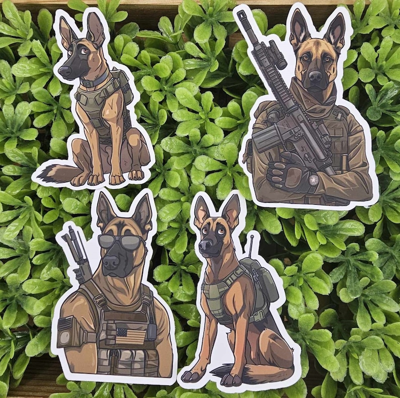 Tactical Belgian Malinois - Etsy