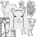 Farm Animals Coloring Page Bundle 150 PAGES Stained Glass ...