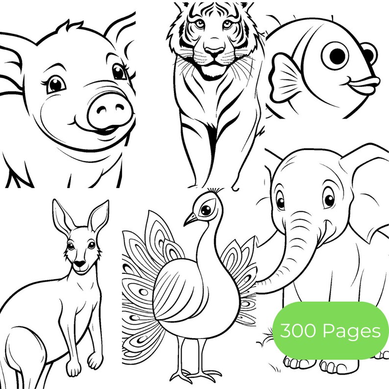 Kids Coloring Page Bundle 300 Pages Assortment of Categories - Etsy